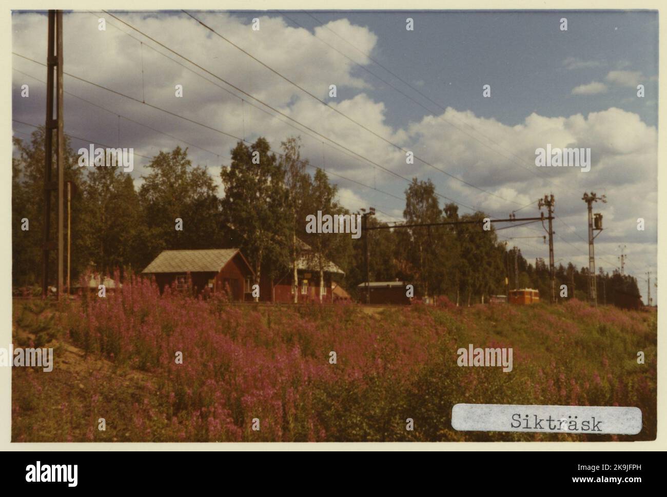 Sagae hi-res stock photography and images - Alamy