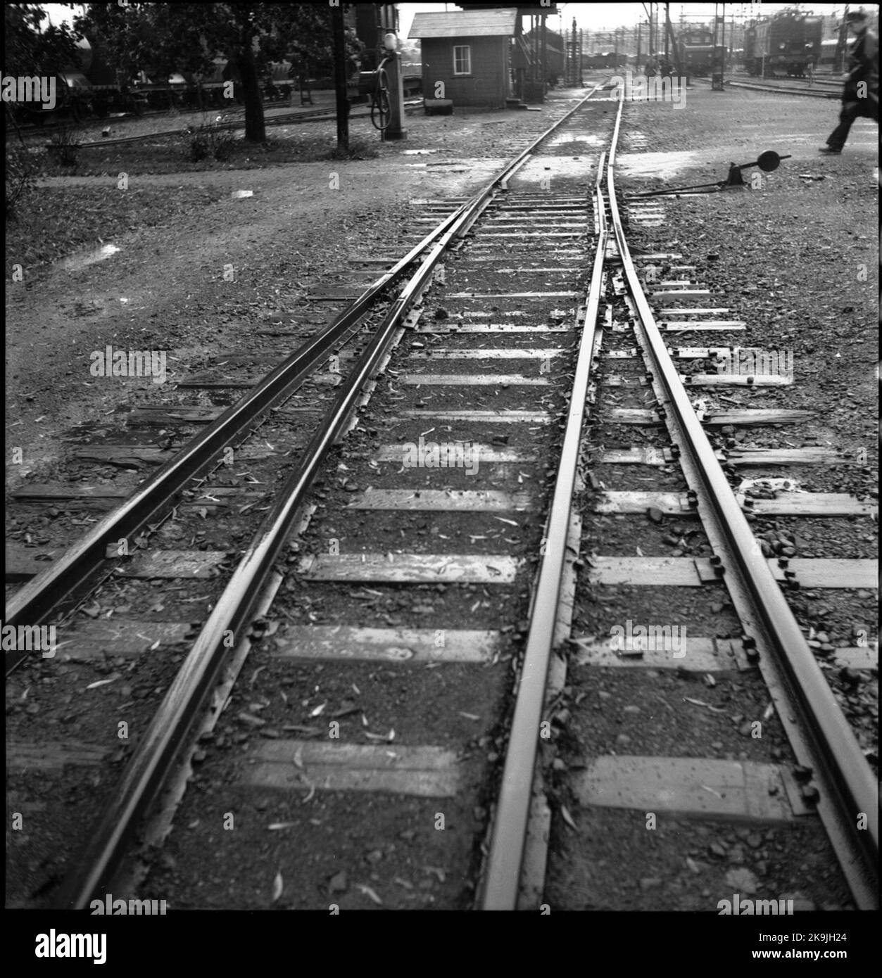 Railway track with gear Stock Photo - Alamy