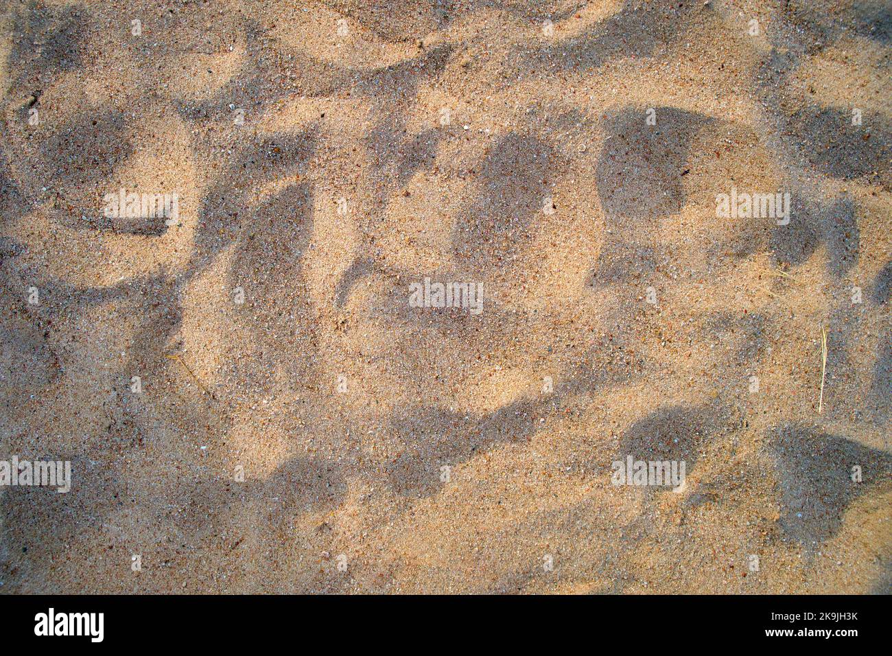 Flat view of clean yellow sand surface covering seaside beach. Sandy ...