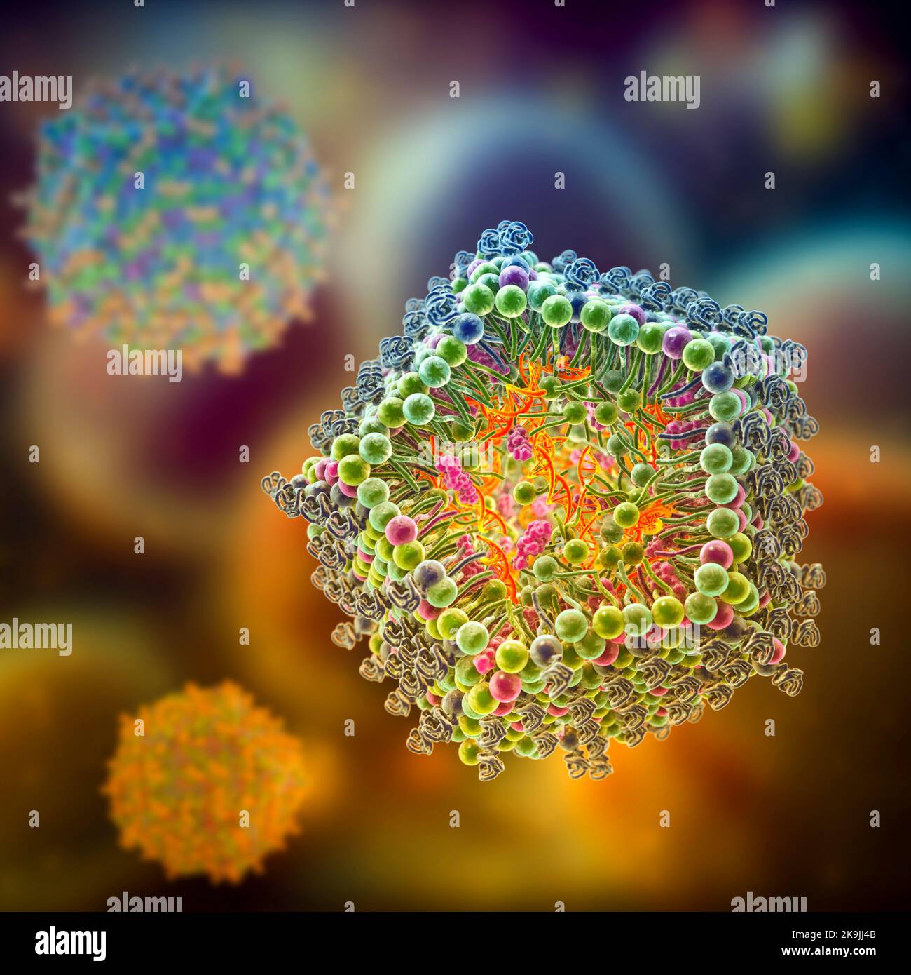 Lipid nanoparticle delivery system hi-res stock photography and images ...