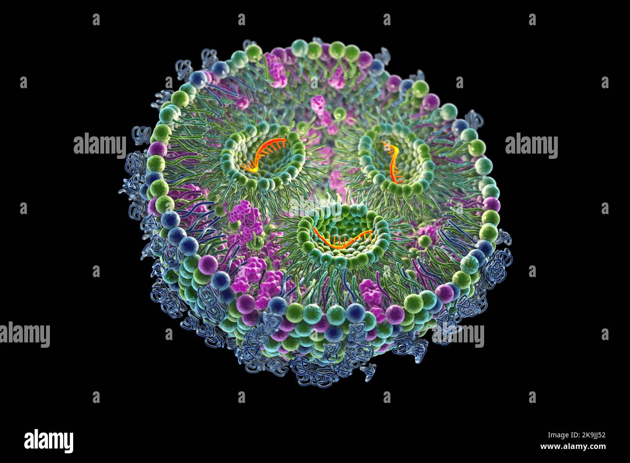 Lipid nanoparticle mRNA vaccine, illustration Stock Photo - Alamy