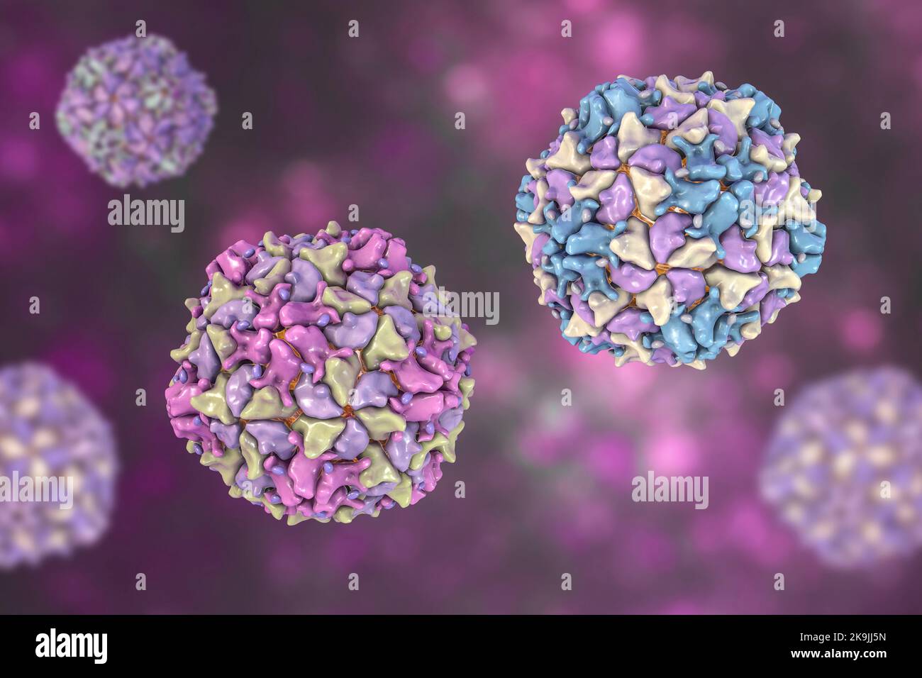 Polio virus particle, illustration Stock Photo - Alamy