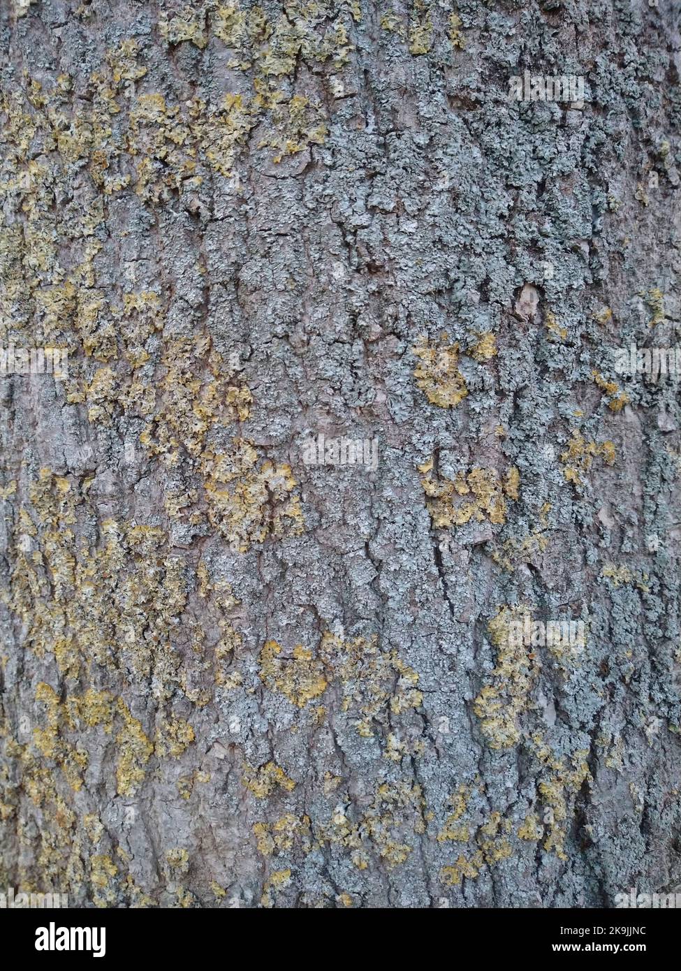 Shaded colors hi-res stock photography and images - Alamy