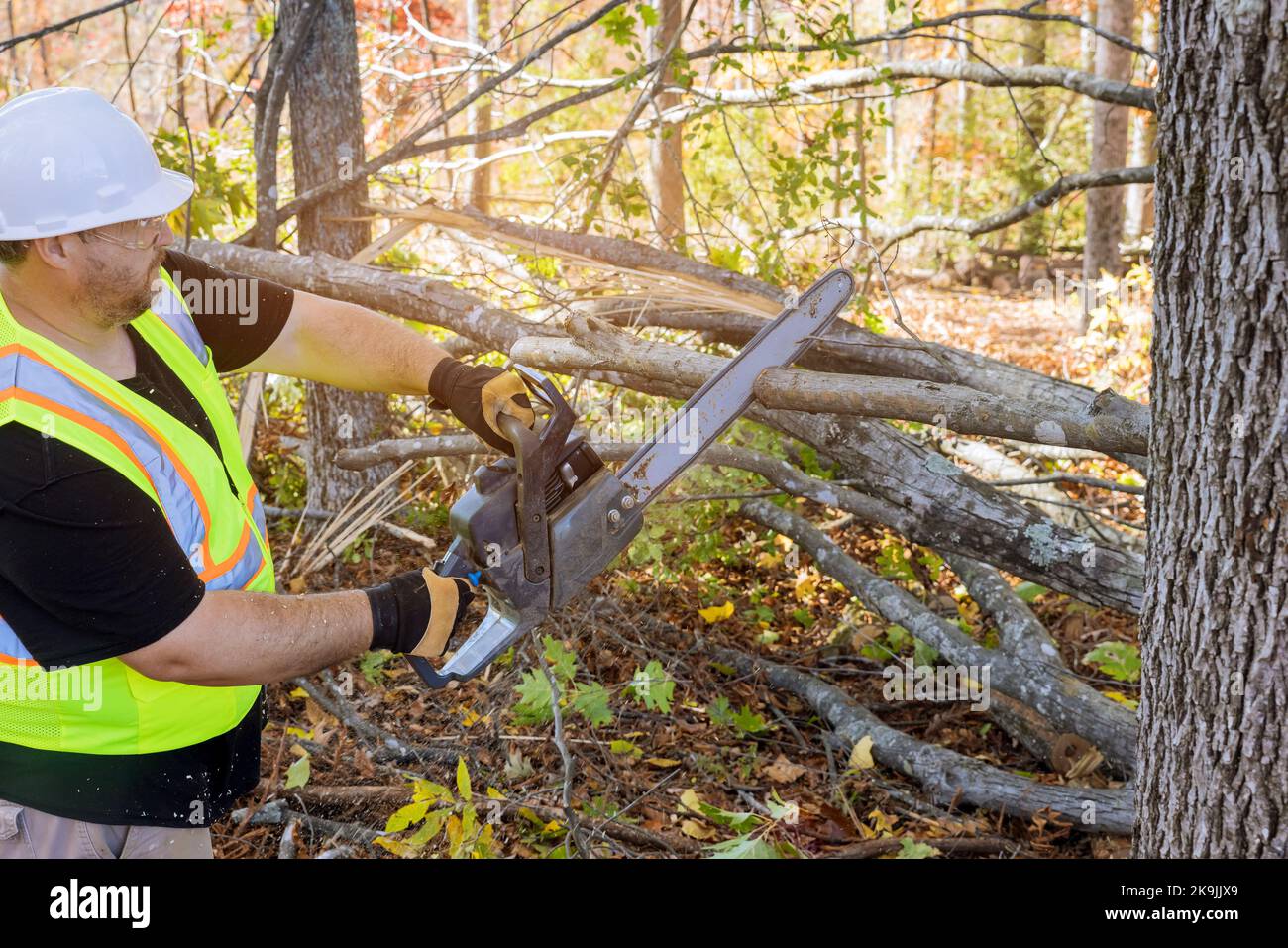 Worker cuts down tree hi-res stock photography and images - Alamy