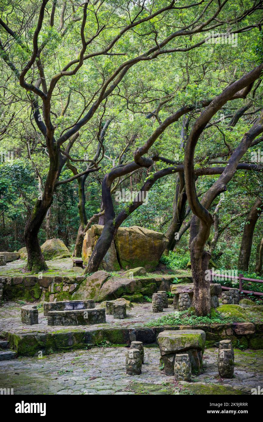 Golden Hill rest area, with rustic stone tables, seating and barbeque ...