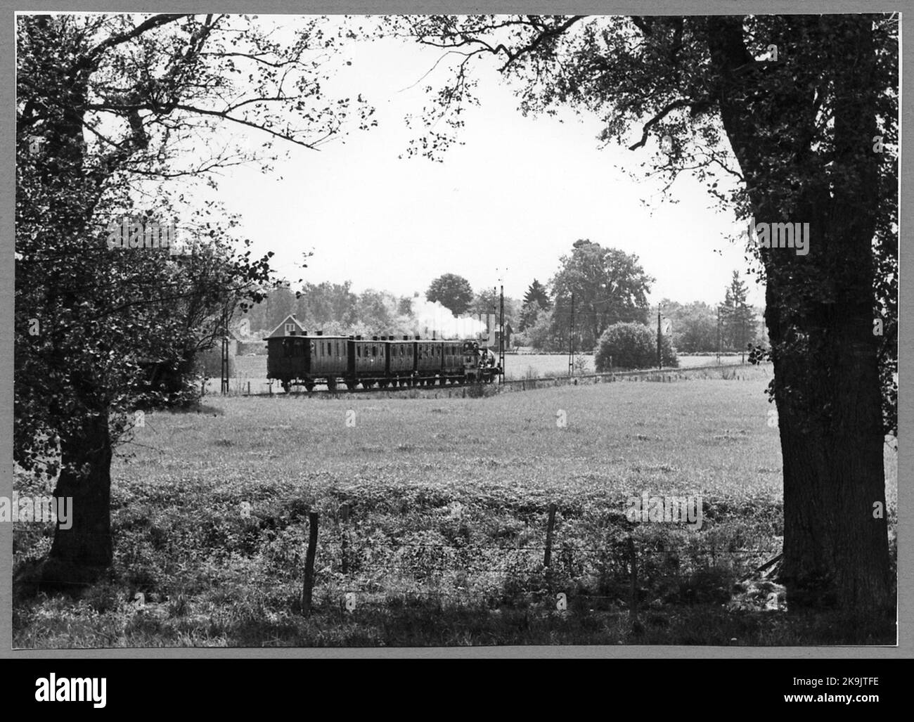 State Railways, SJ B 3 "Prince August" on the southern main line Stock ...