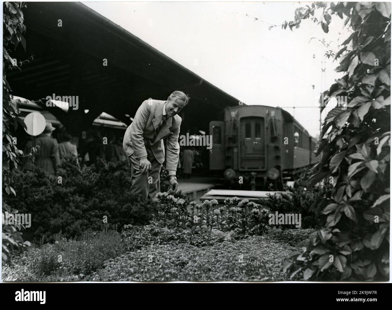 The Garden Director when planting at Stockholm Central Station Stock ...