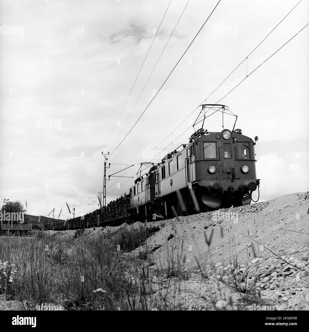 State Railways, SJ DU2. Transport of pulpwood. SCA, Töva terminal Stock ...