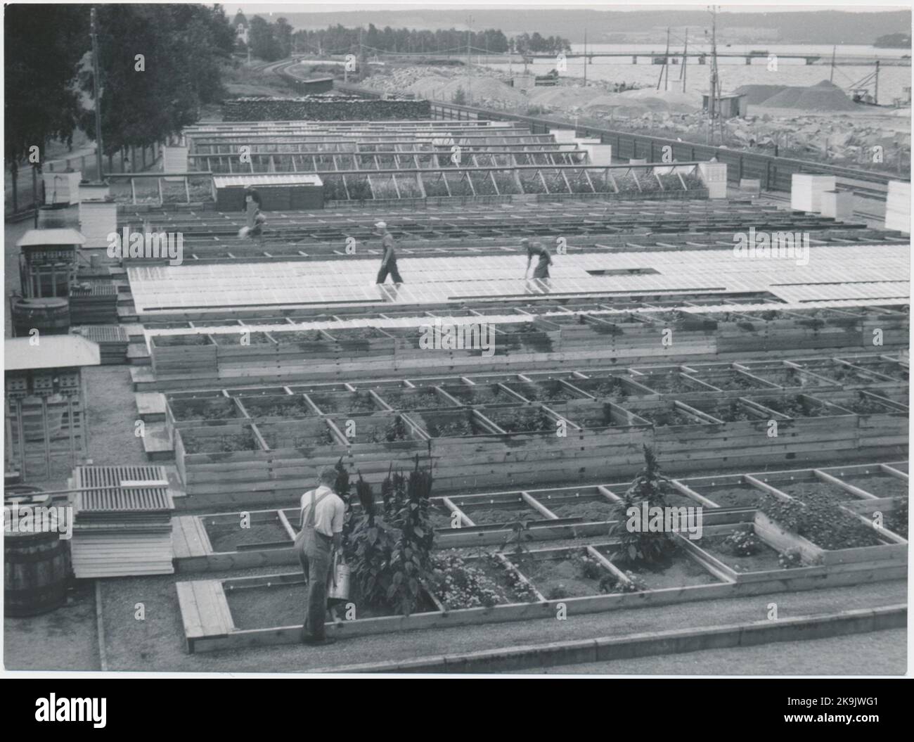 Plant depot where plants and flowers are grown Stock Photo - Alamy