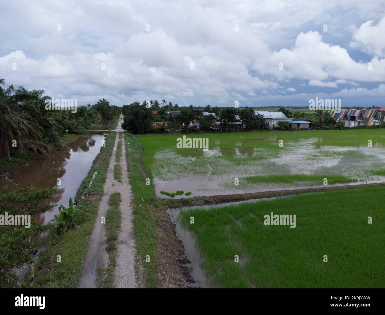 aerial view of the paddy field farm after the rain Stock Photo - Alamy