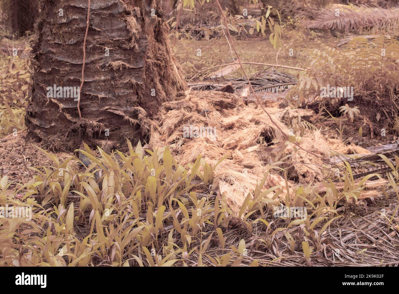 Moundhill hi-res stock photography and images - Alamy