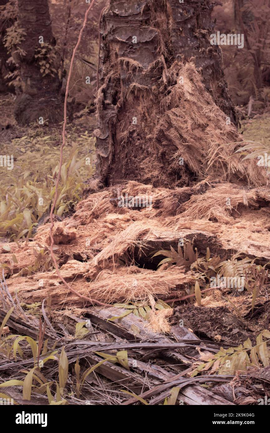 Moundhill hi-res stock photography and images - Alamy