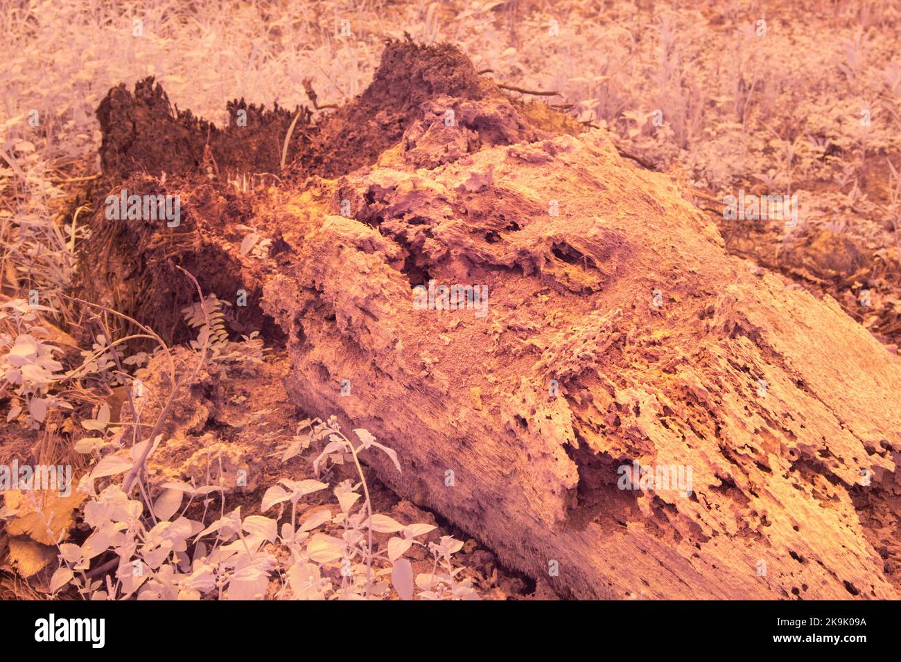 Moundhill hi-res stock photography and images - Alamy