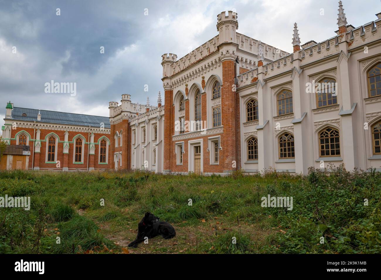 PETRODVORETS, RUSSIA - OCTOBER 13, 2021: A black dog guards the ...