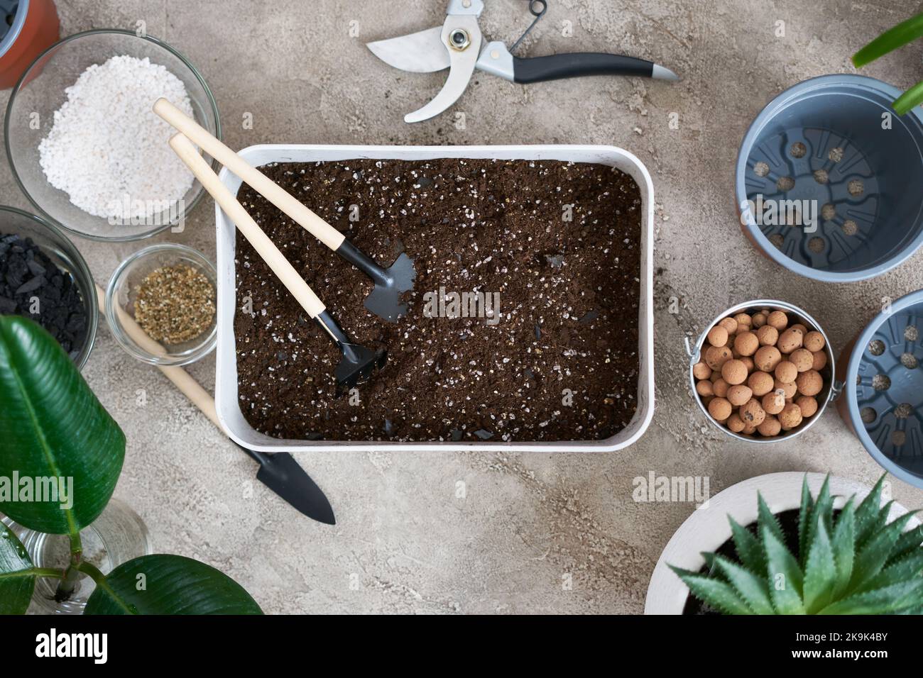 preparation of soil substrate for planting houseplant into a pot Stock ...