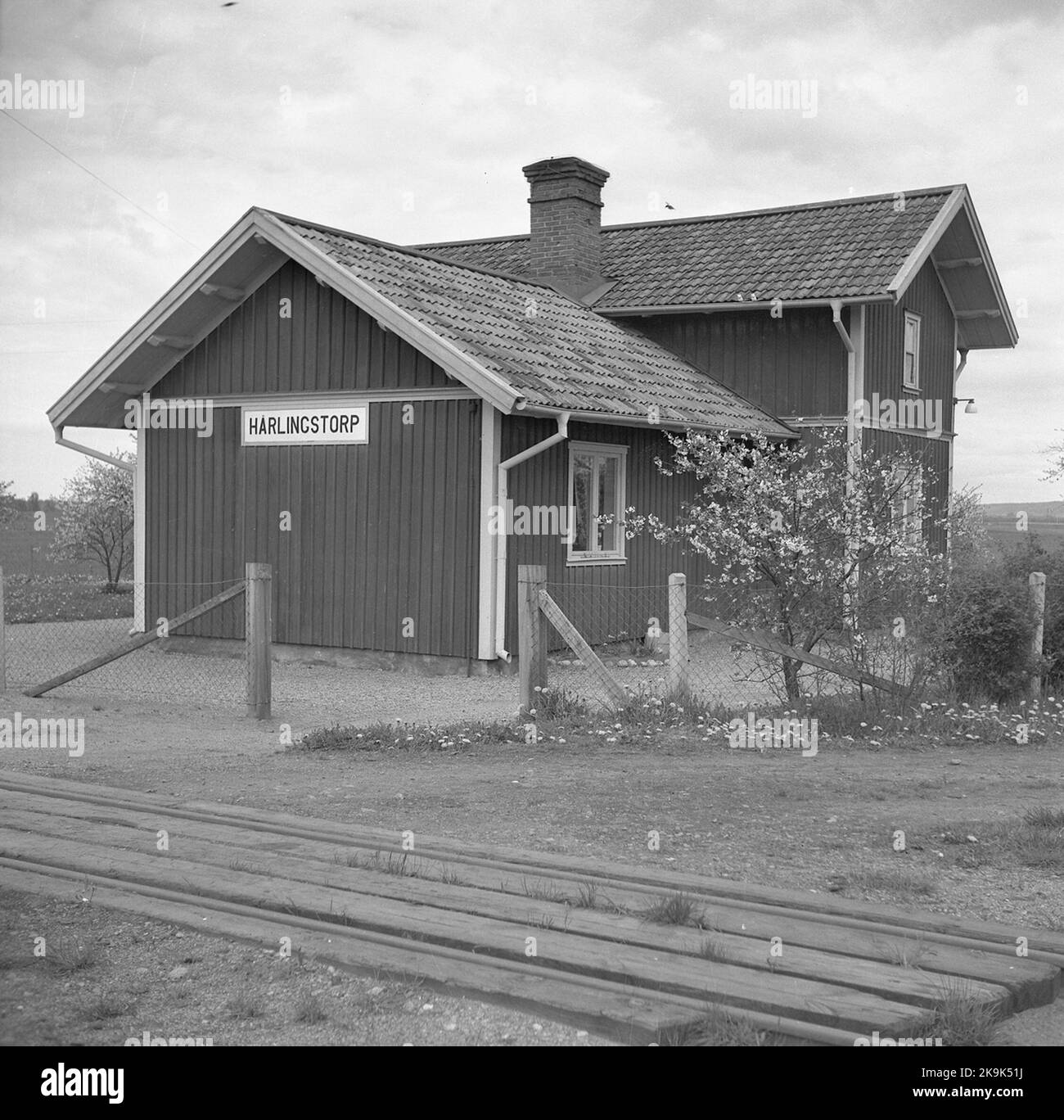 Holding and loading. Bee grooves to Röde Mosse peat factory Stock Photo ...