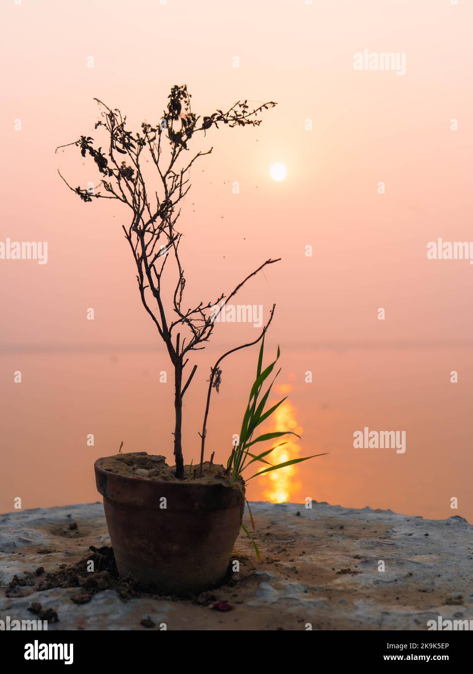 flower pot in sunrise sunset in front of river ganges in varanasi india ...