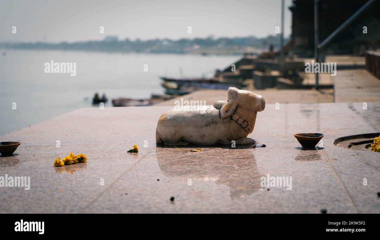 nandi shiva bull with ganges ganga in varanasi benares Stock Photo - Alamy