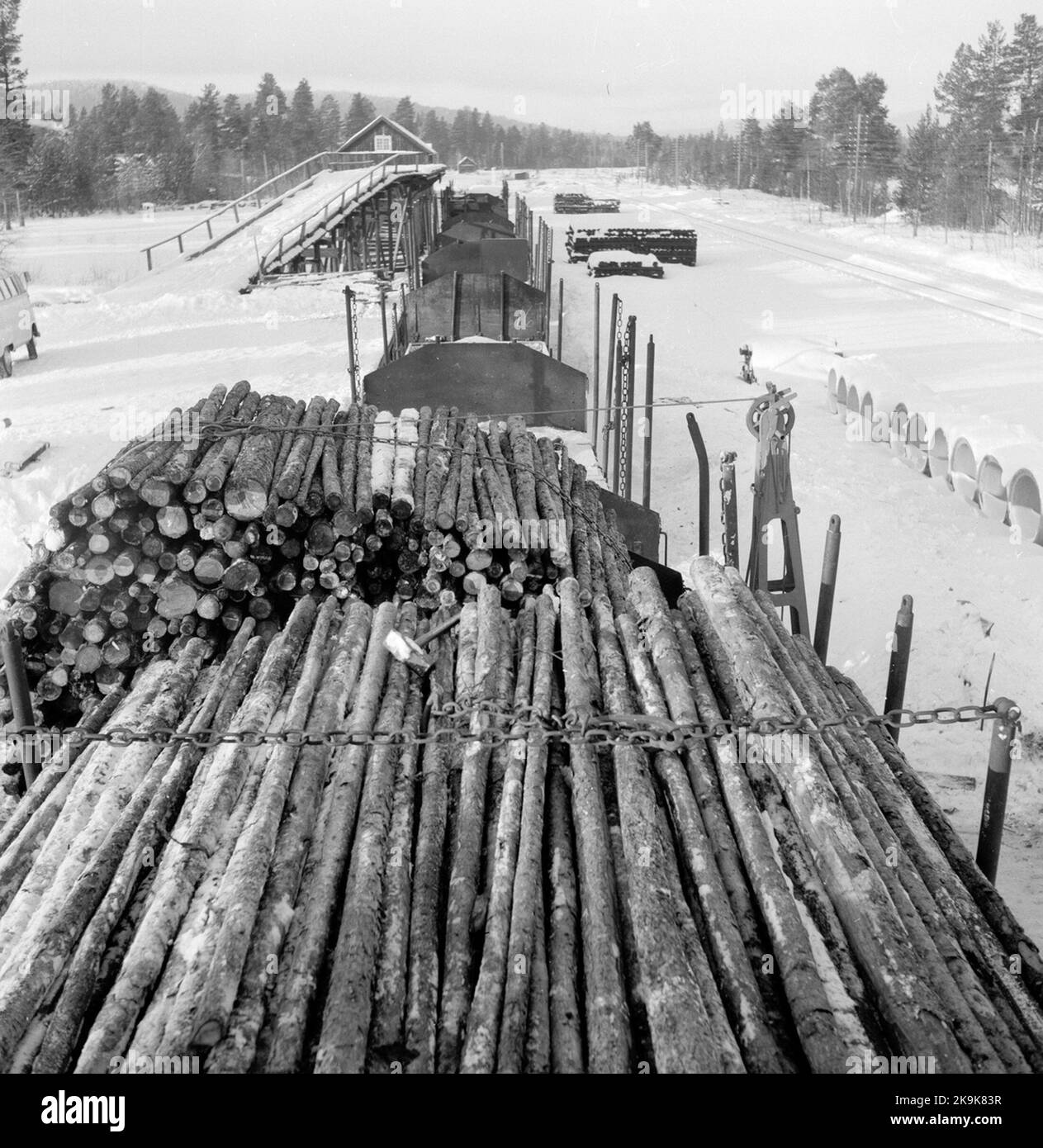 Loading of timber from truck to freight wagon with puller timber ...