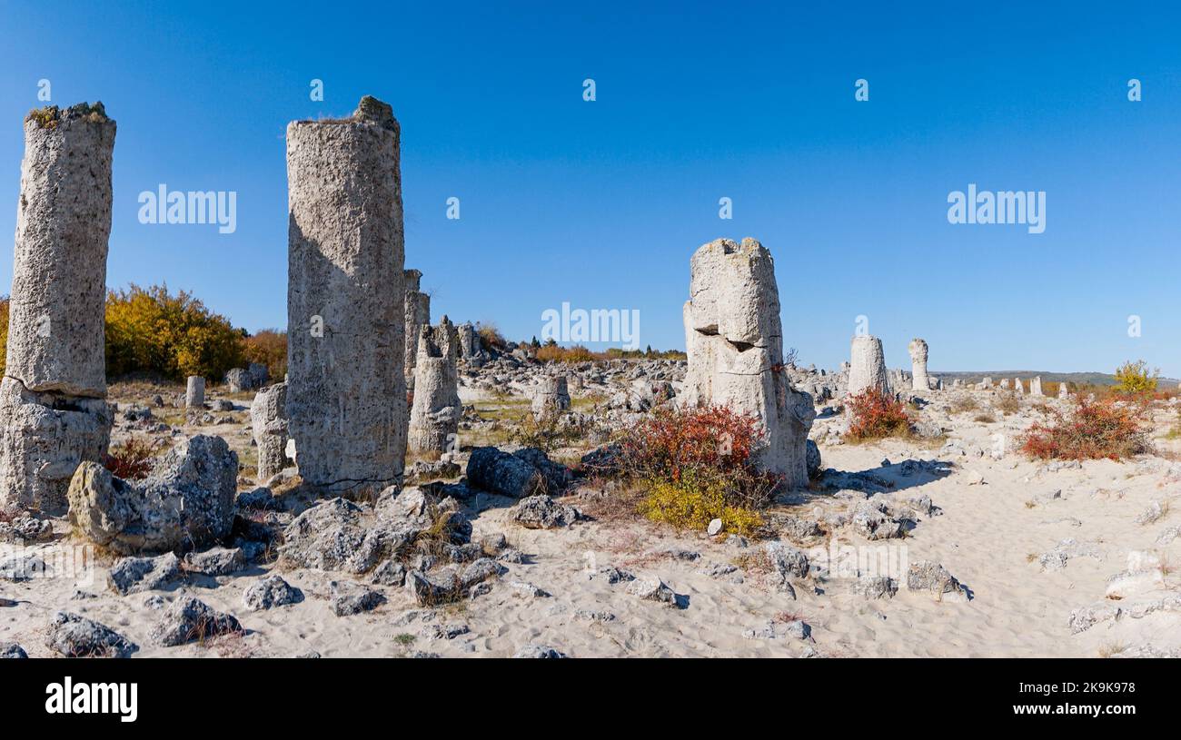 A view of the Pobiti Kamania Stone Forest and desert in Varna Province ...