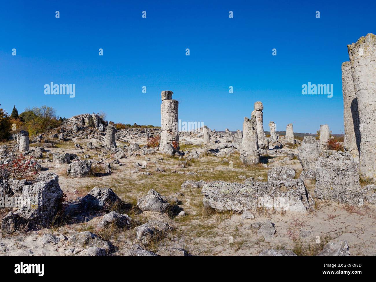 A view of the Pobiti Kamania Stone Forest and desert in Varna Province ...