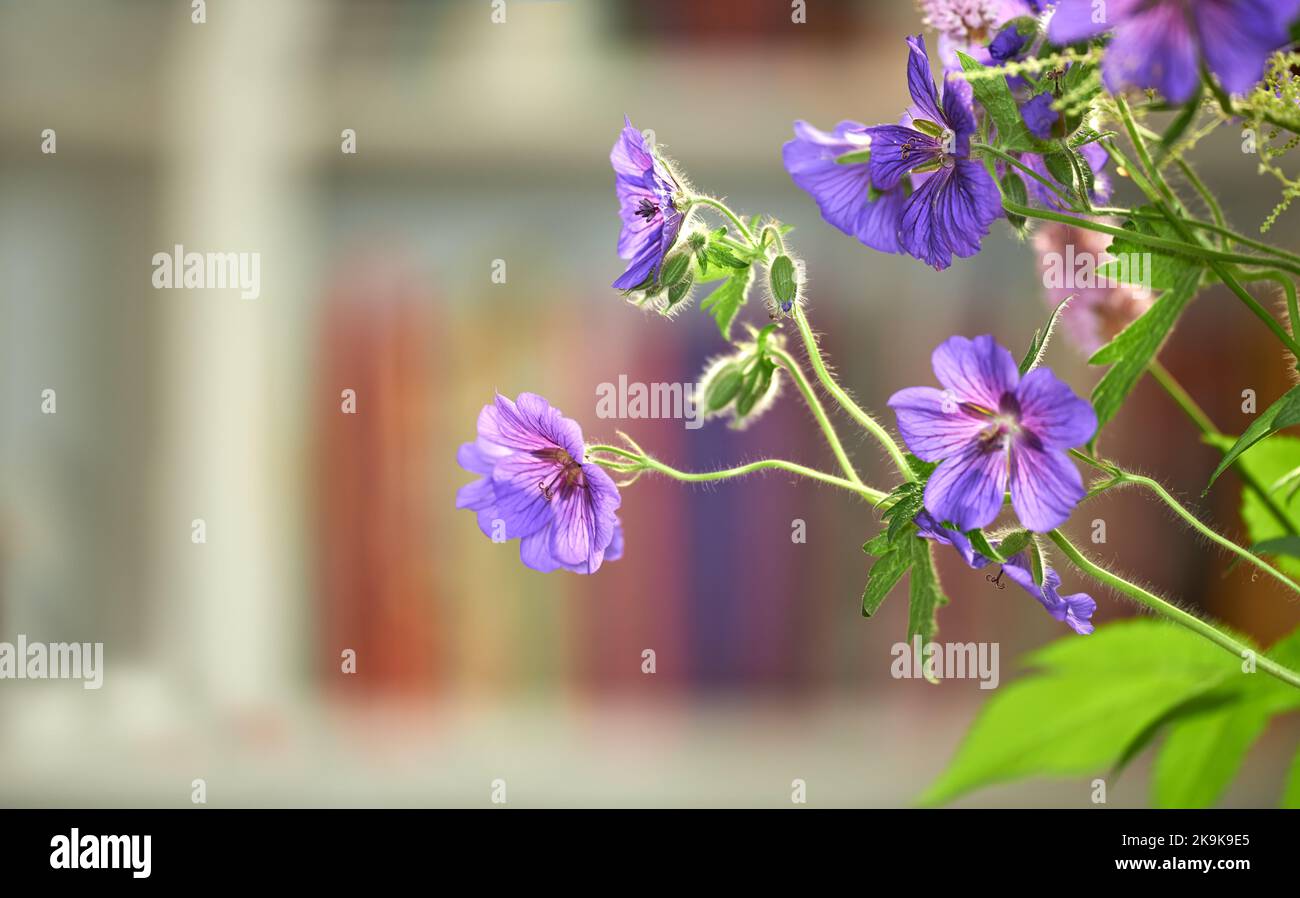 Beautiful bouquet of flowers. Bouquet with different kind of flowers in ...