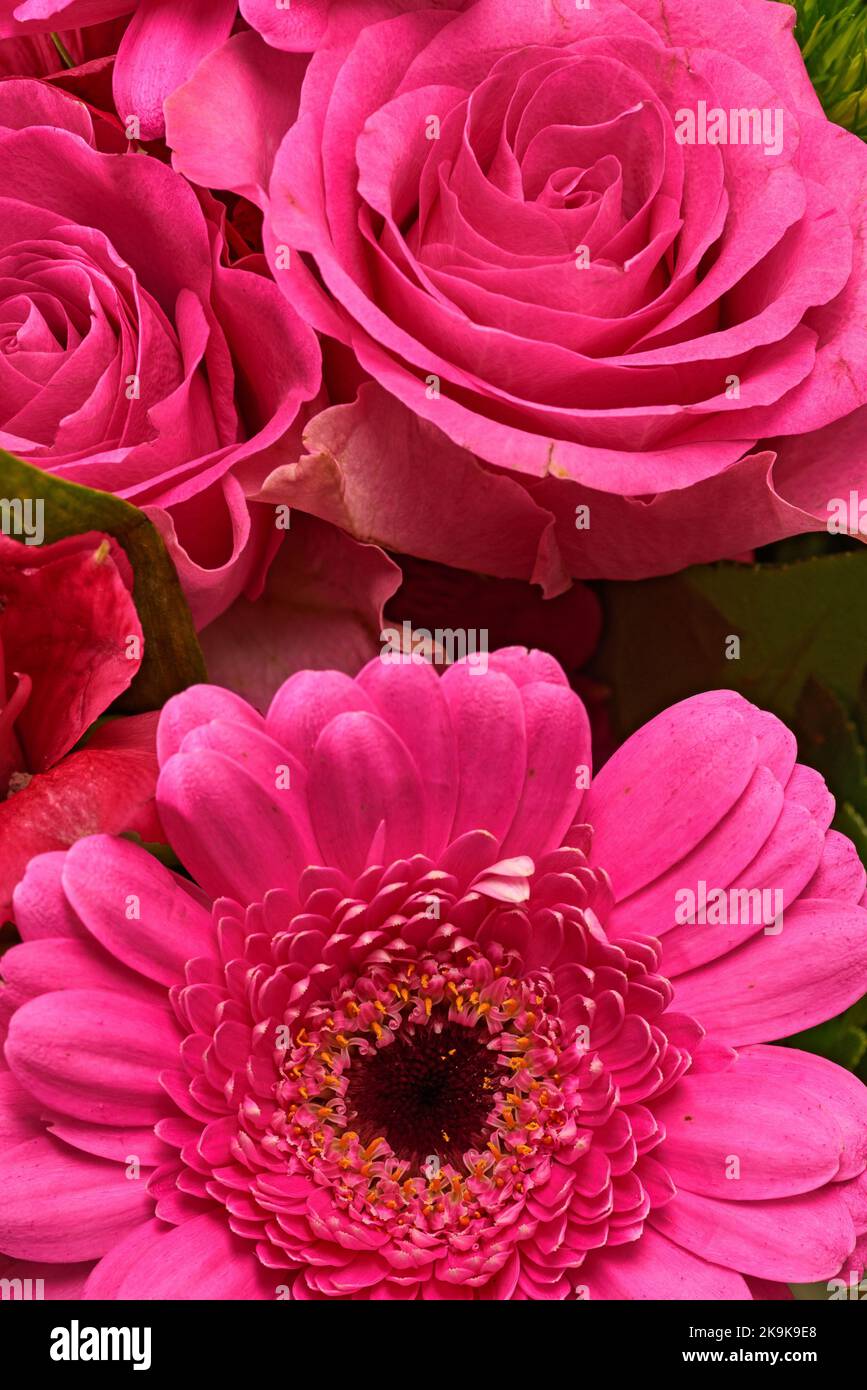 Beautiful bouquet of flowers. Bouquet with different kind of flowers ...