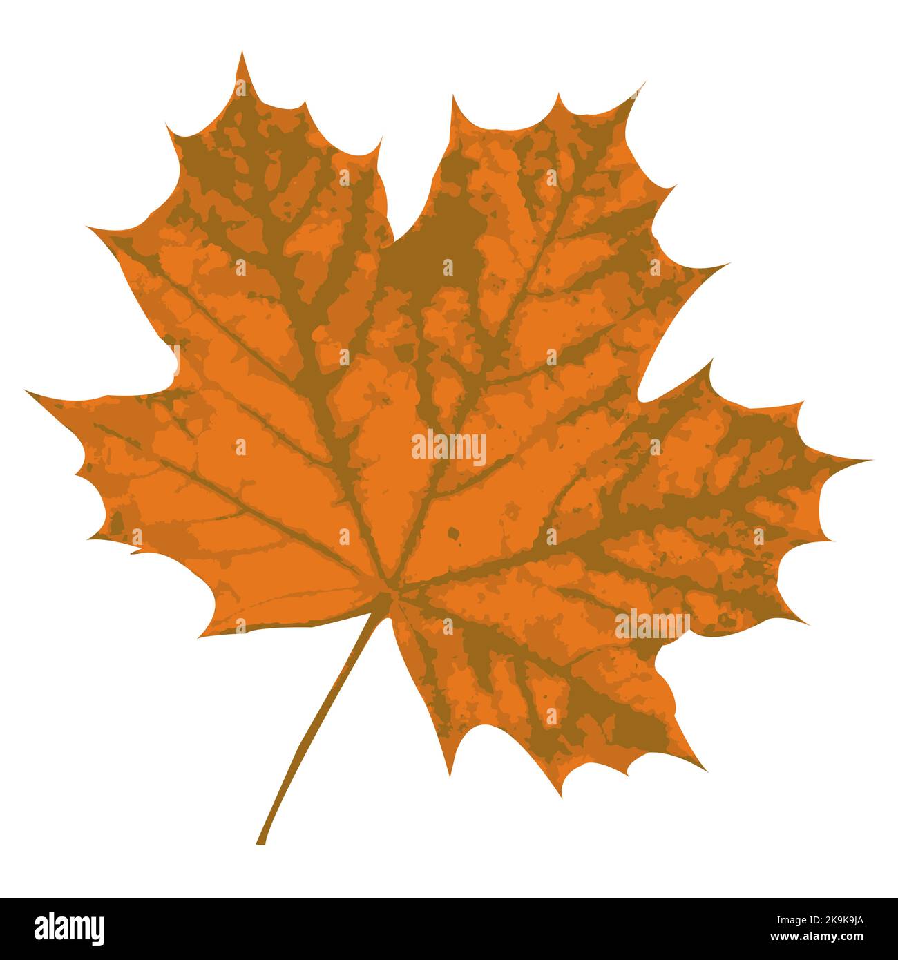 Orange postcard Stock Vector Images - Alamy