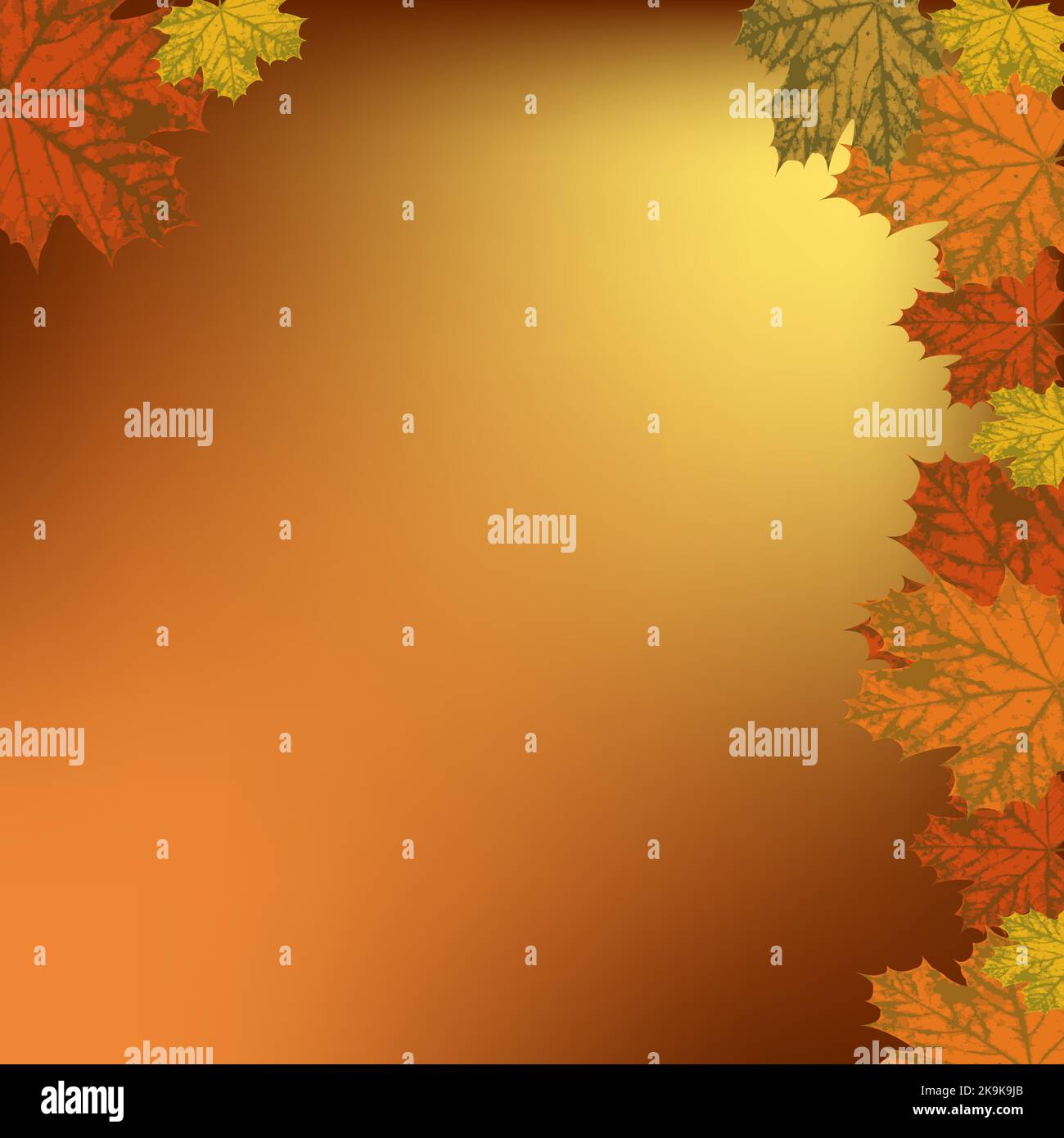 Maple leaves on an orange background. Postcard with copy space ...