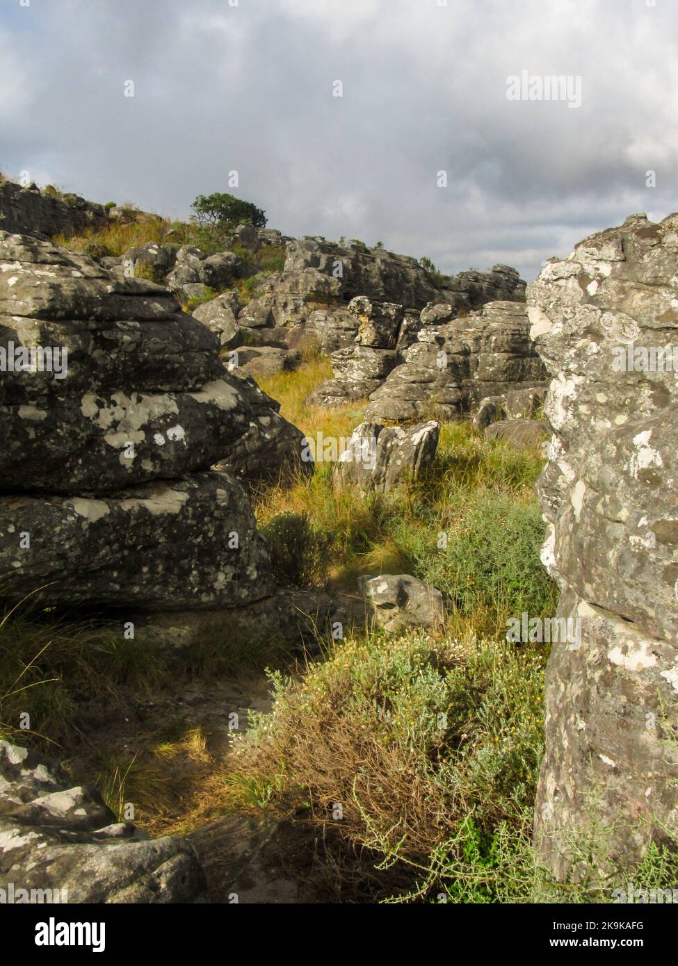 Boulders scattered on a grassy Plateau in the Kaapsche hoop region of ...