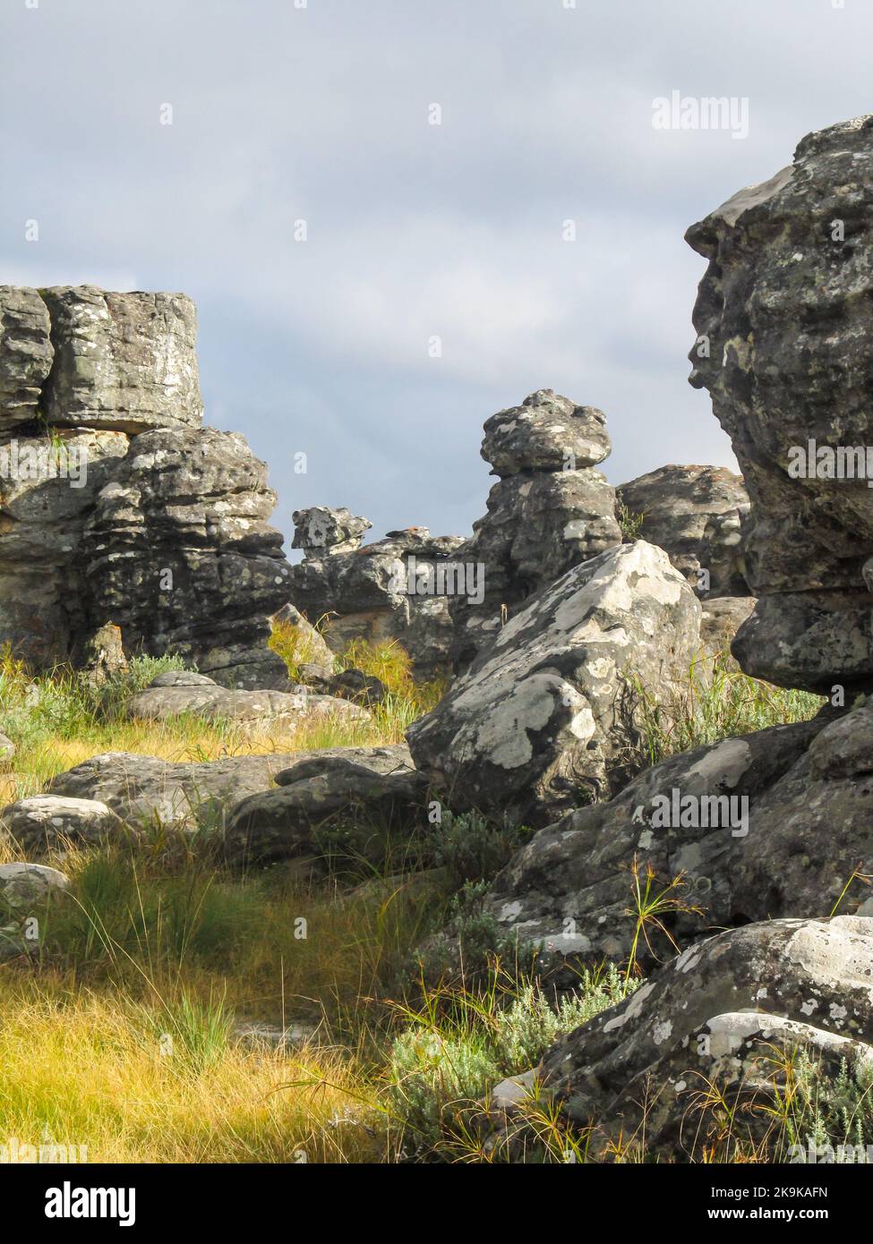 A maze of natural quartzite formations on a grassy Plateau in the ...