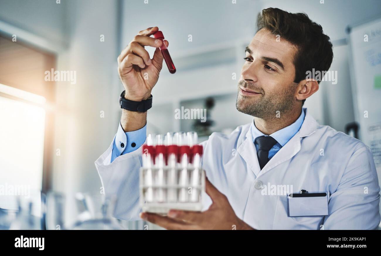 Putting together all his samples. a scientist analyzing medical samples ...