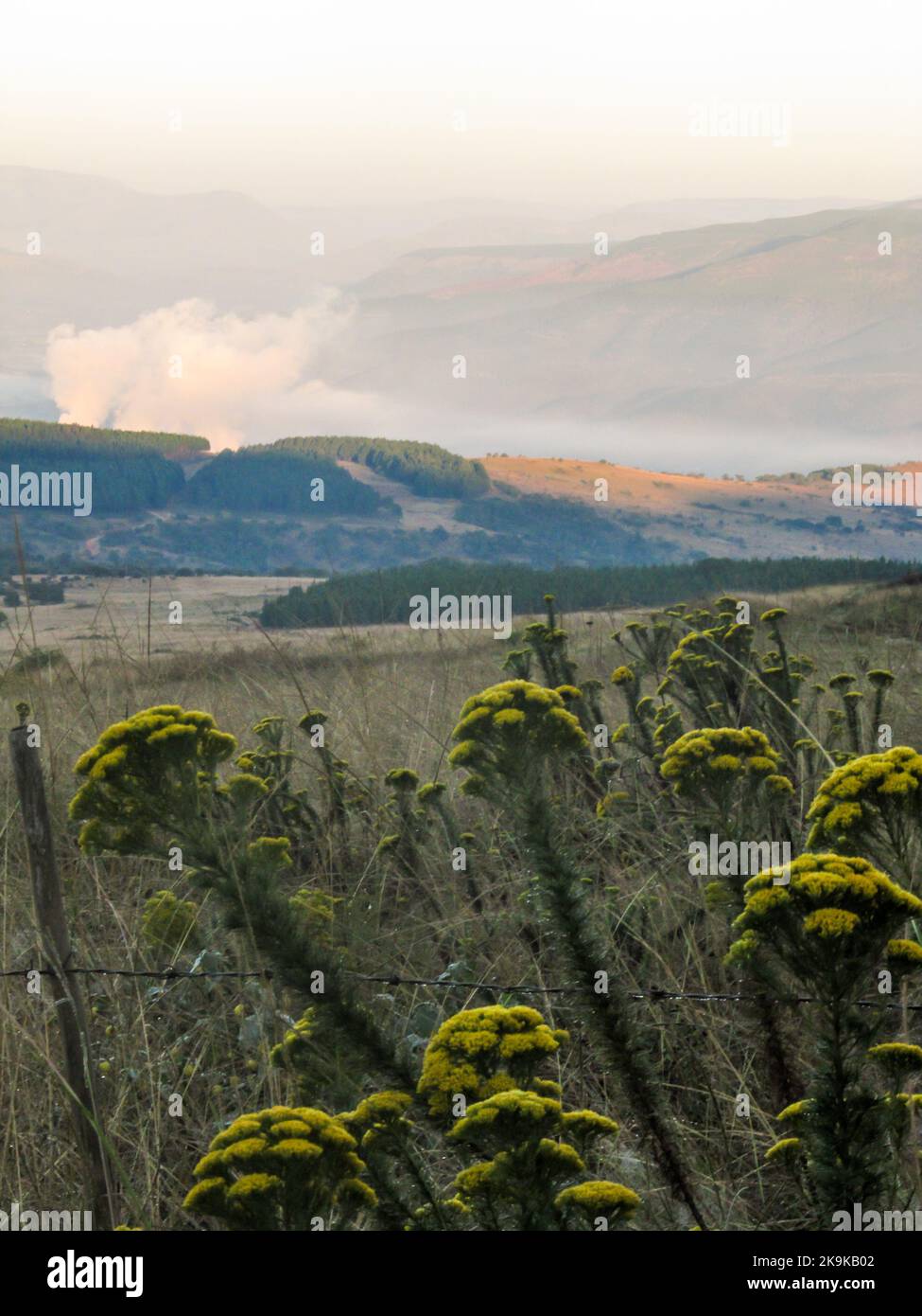 Dawn along the mountains of the Transvaal Escarpment, Kaapsche Hoop ...