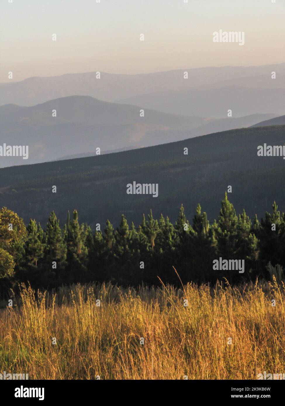 View over distant mountains of the Escarpment at Kaapsche Hoop, South ...