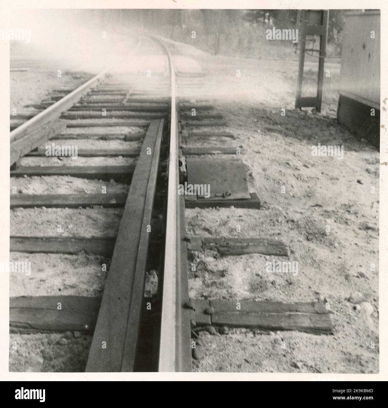 Examples of well -maintained flame butter Stock Photo - Alamy