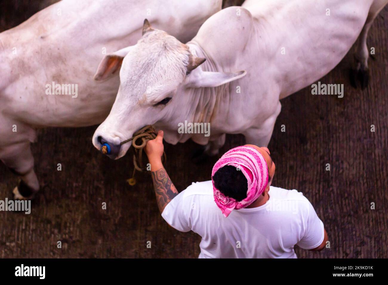Livestock auction market in Batangas, Philippines Stock Photo - Alamy