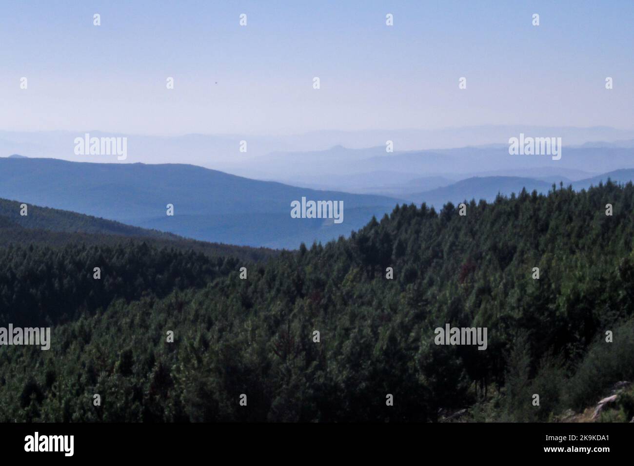 View along South Africa’s North-eastern Escarpment in Mpumalanga with ...