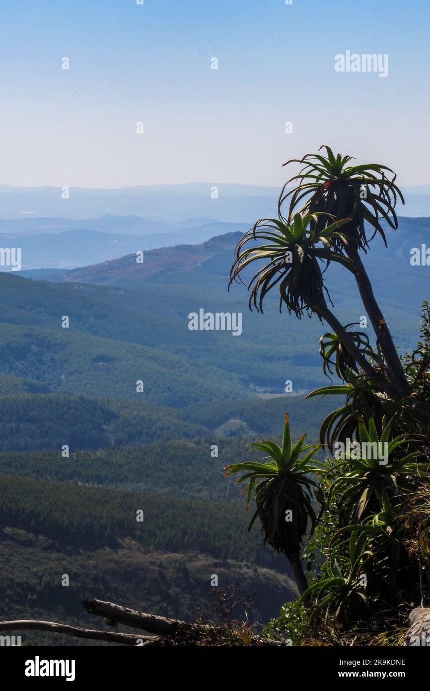 View over the distant blue mountains of South Africa’s eastern ...