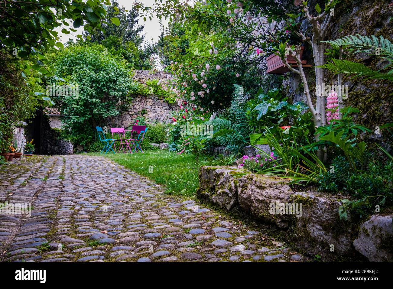 Cobblestone paved and lush street in the medieval village of Saint ...