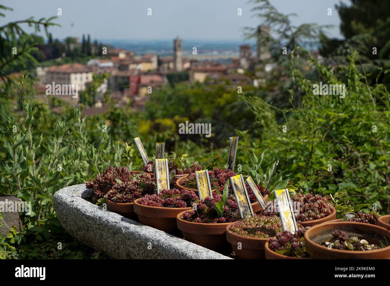 Labeled garden hi-res stock photography and images - Alamy