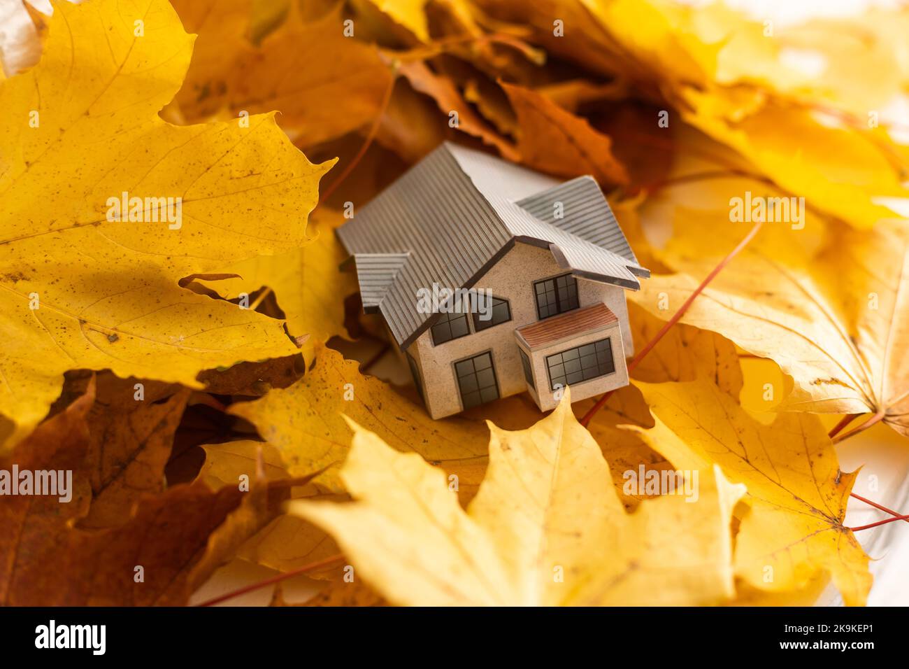House from paper in bright yellow autumn leaves. Model of cardboard ...