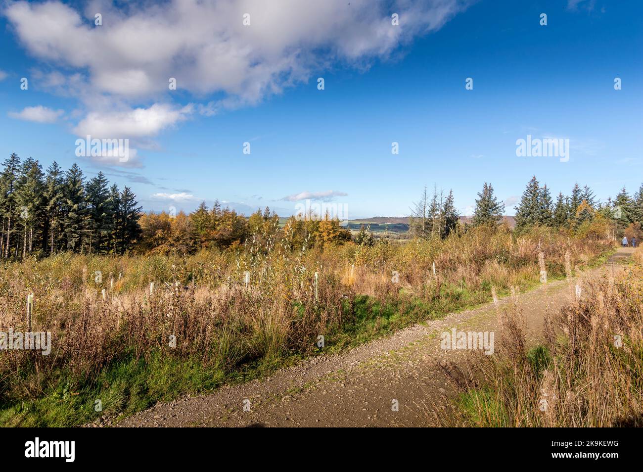 Preston beacon fell country park hi-res stock photography and images ...