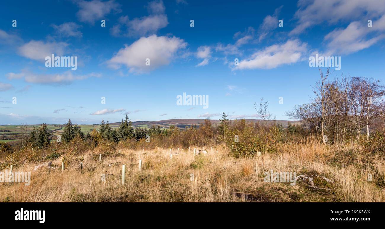Preston beacon fell country park hi-res stock photography and images ...