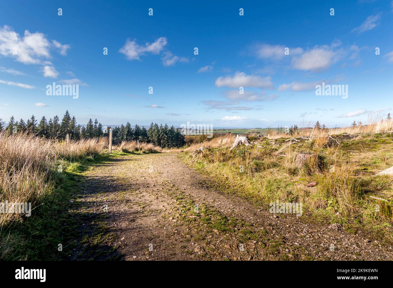 Preston beacon fell country park hi-res stock photography and images ...