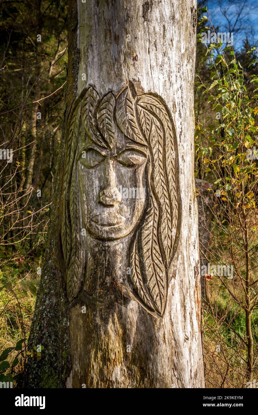 Beacon Fell, Lancashire, UK Stock Photo - Alamy