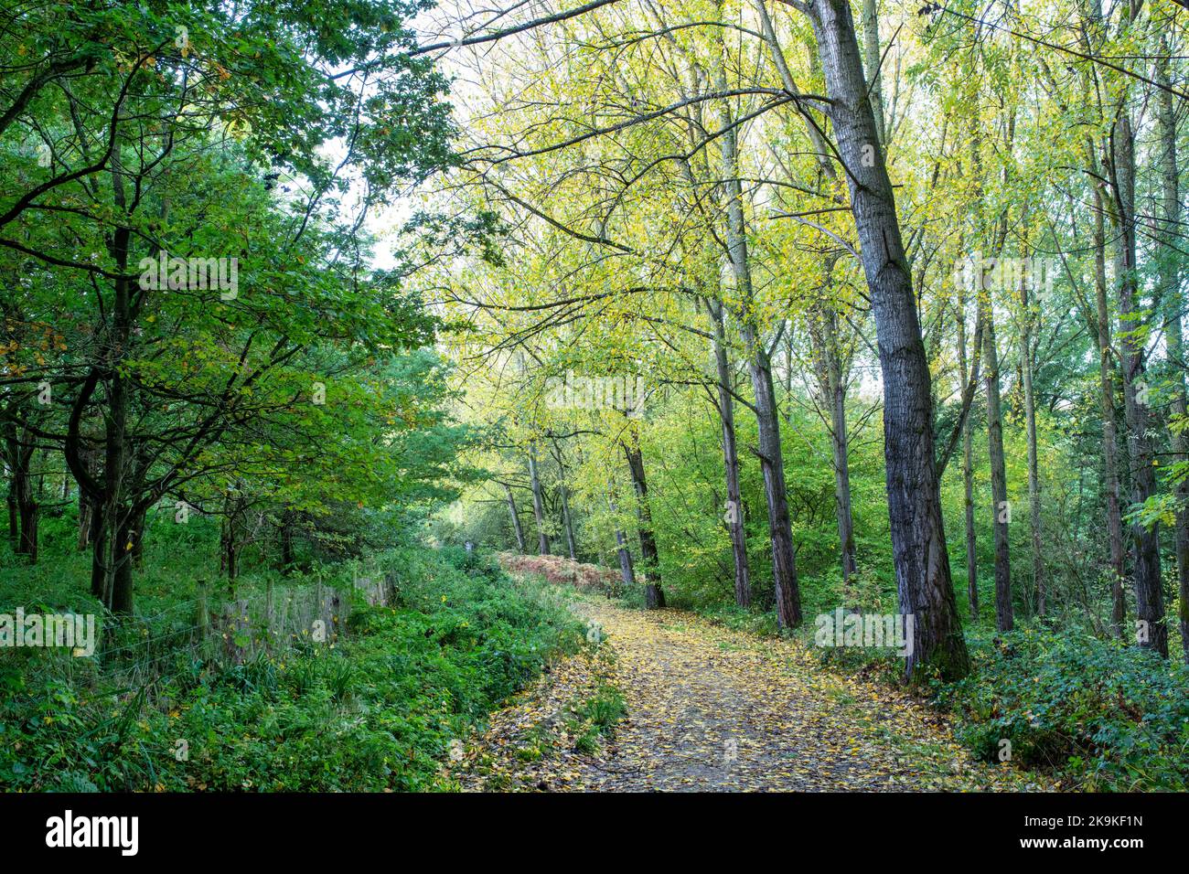 Dowdeswell hi-res stock photography and images - Alamy