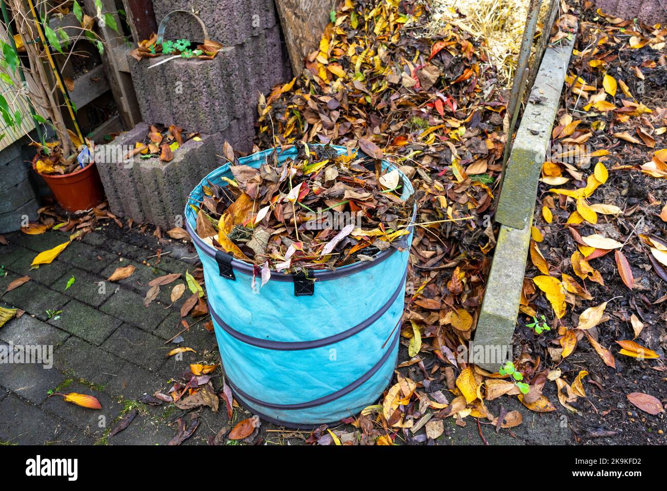 Leaves on a compost in the garden Stock Photo - Alamy