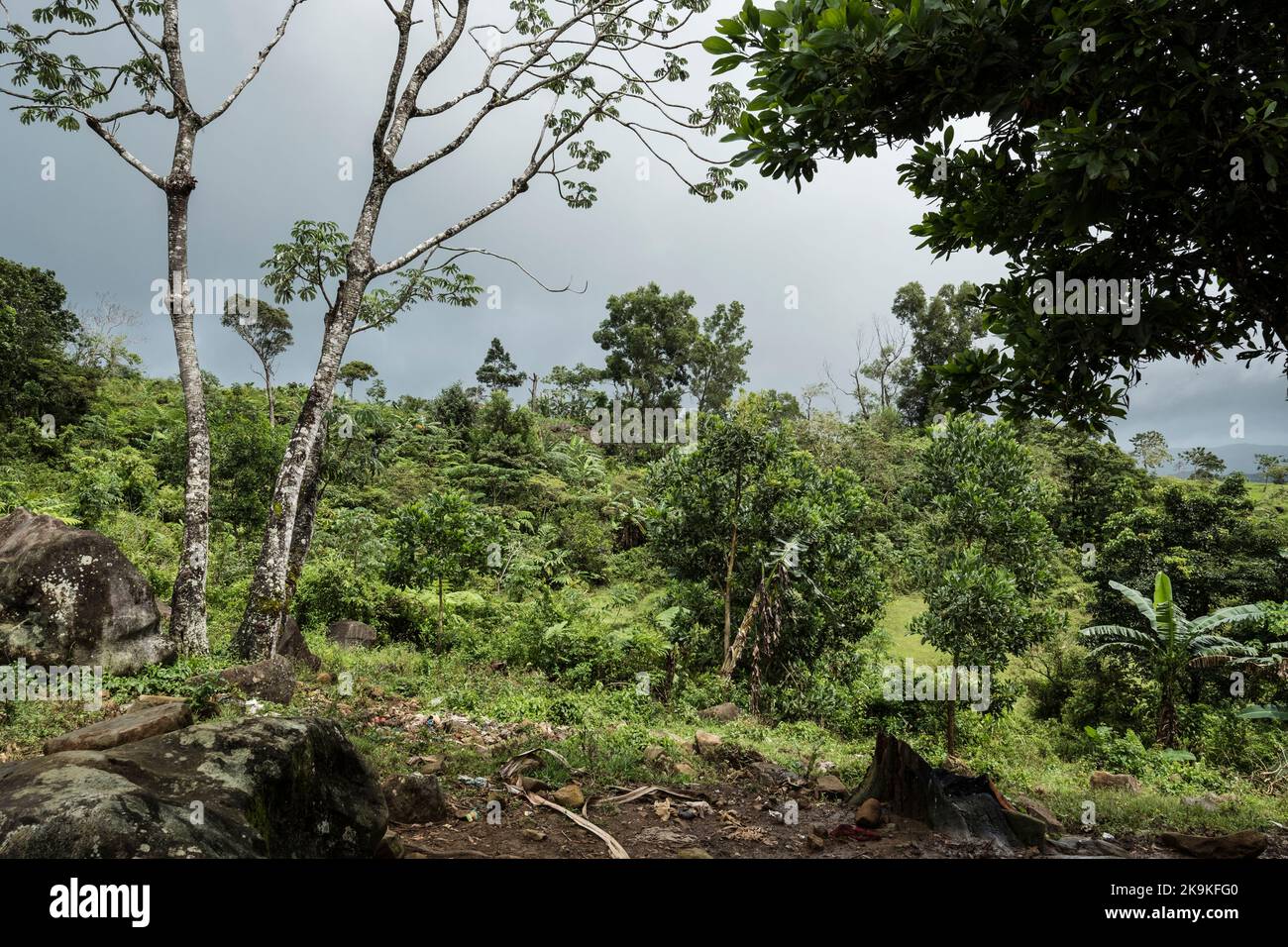 Aetas tribe, Negros island, Philippines, Asia Stock Photo - Alamy