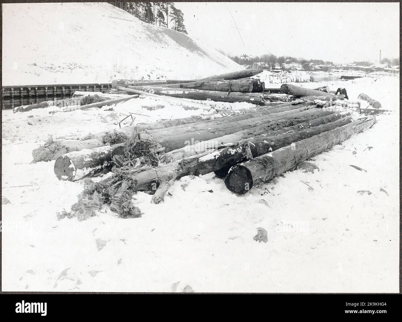 Old piling material Stock Photo - Alamy