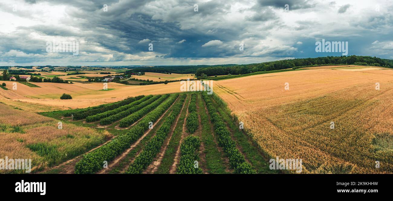 A beautiful panorama of the West Roztocze. Undulating hills, fields and ...
